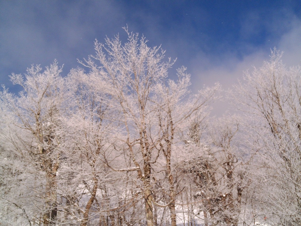 The Newsletter – Postcard Station